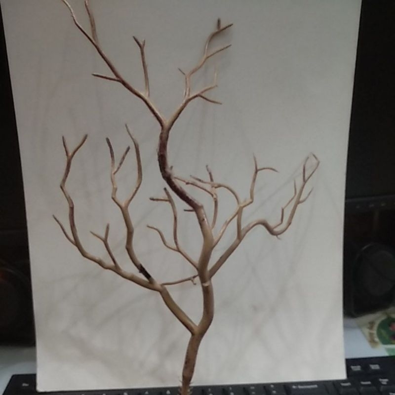 Jual ranting hias palsu akar plastik anggrek 36cm | Shopee Indonesia