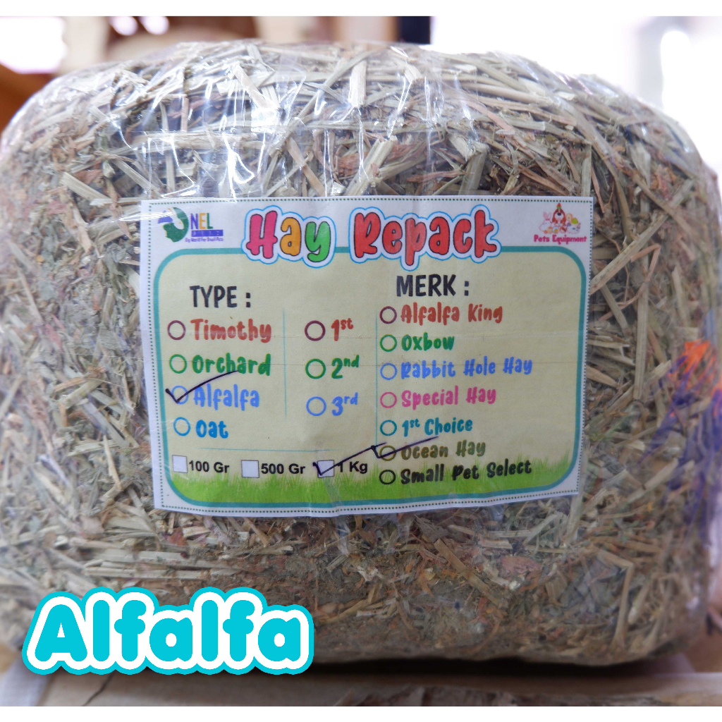Jual ALFALFA by OCEAN HAY repack 1kg/makanan kelinci Junior, marmut ...