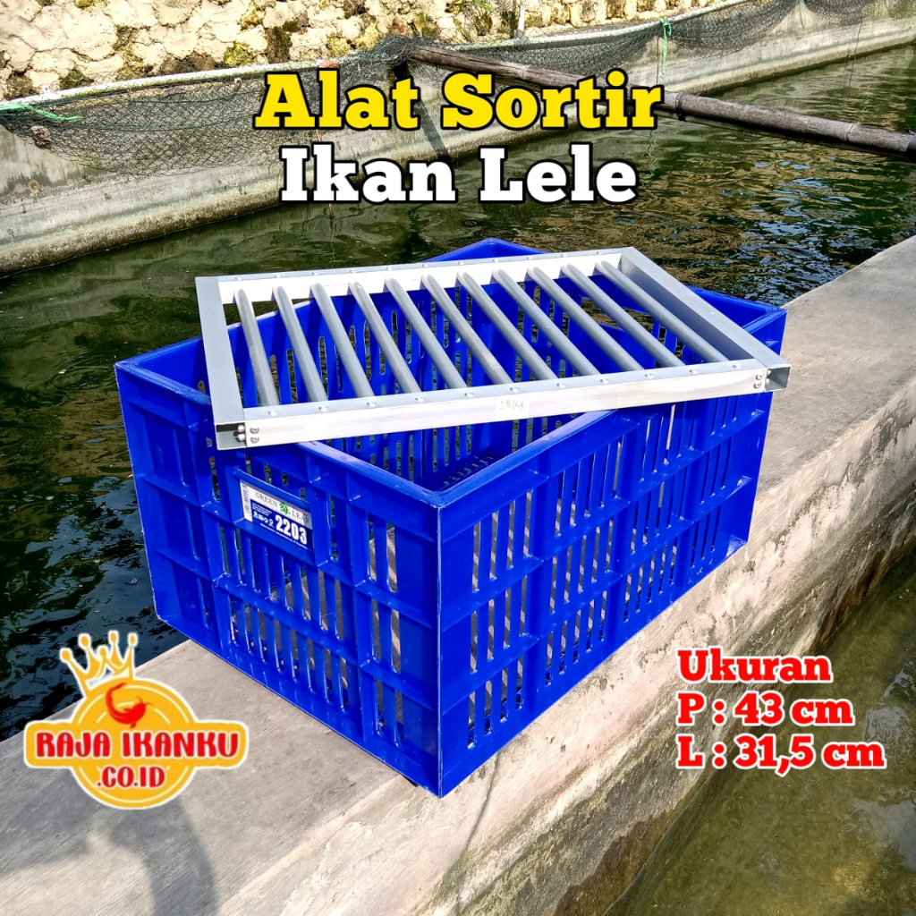 Jual Alat Sortir Lele Dan Keranjang Alat Sortir Ikan Lele Saringan Lele ...