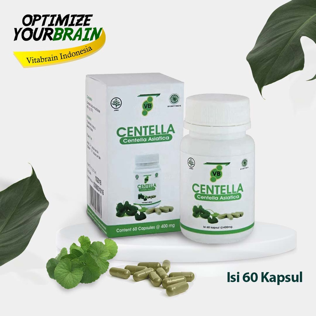 Jual Vitabrain VB Centella Asiatica Suplemen Terbaik Original BPOM ...