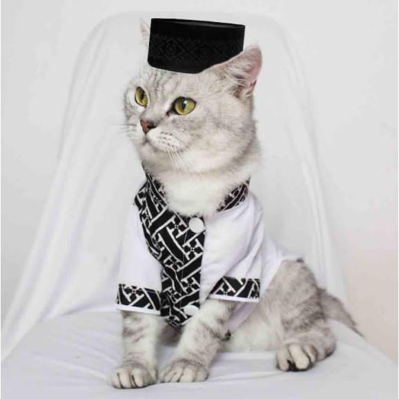 Jual Bukipet Kostum Lebaran Koko Peci - Baju Kucing Lebaran Raya Idul ...