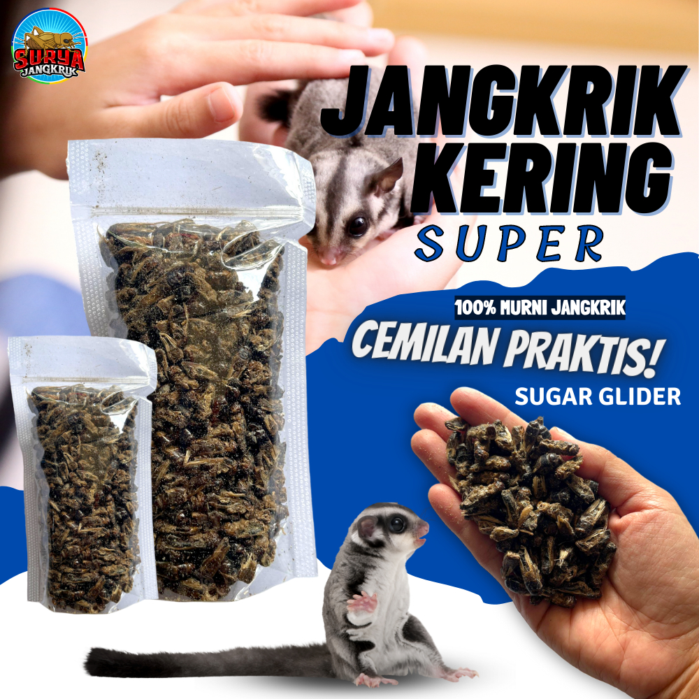 Jual jual jangkrik kering kemasan 100 gram protein tinggi readys tock ...