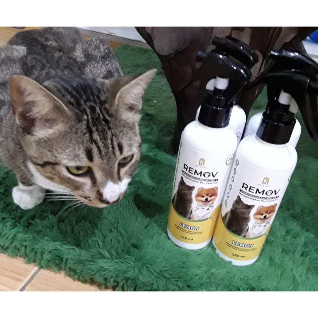 Jual REMOV SPRAY LEMON PENGHILANG BAU NO 1 | Shopee Indonesia