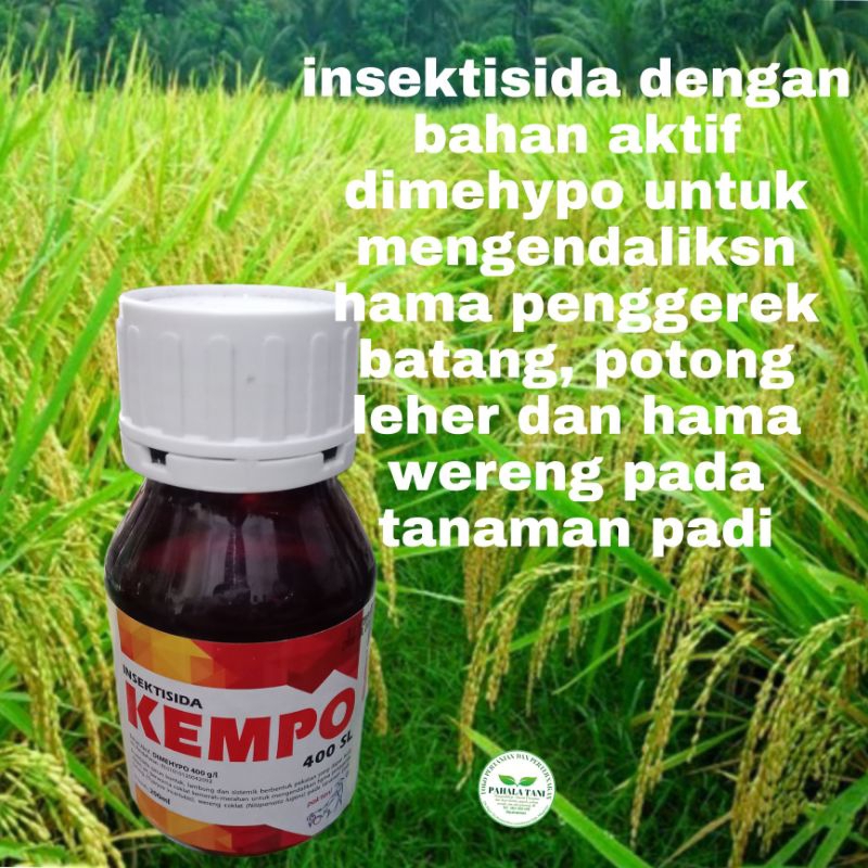 Jual KEMPO 400 sl/dimehypo/hama wereng/penggerek batang/potong leher ...