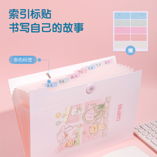 Jual Deli Map Dokumen Harmonika / Expanding File A4 Pink Biru PM303 | Shopee Indonesia