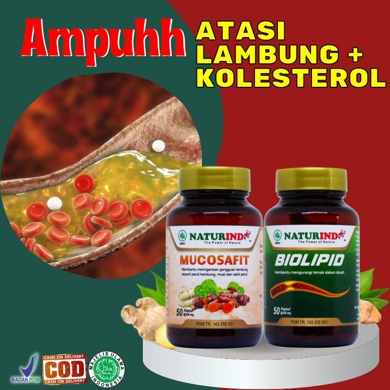 Jual Obat Herbal Tensi Tekanan Darah Rendah Hipotensi Hypotensi Sakit ...