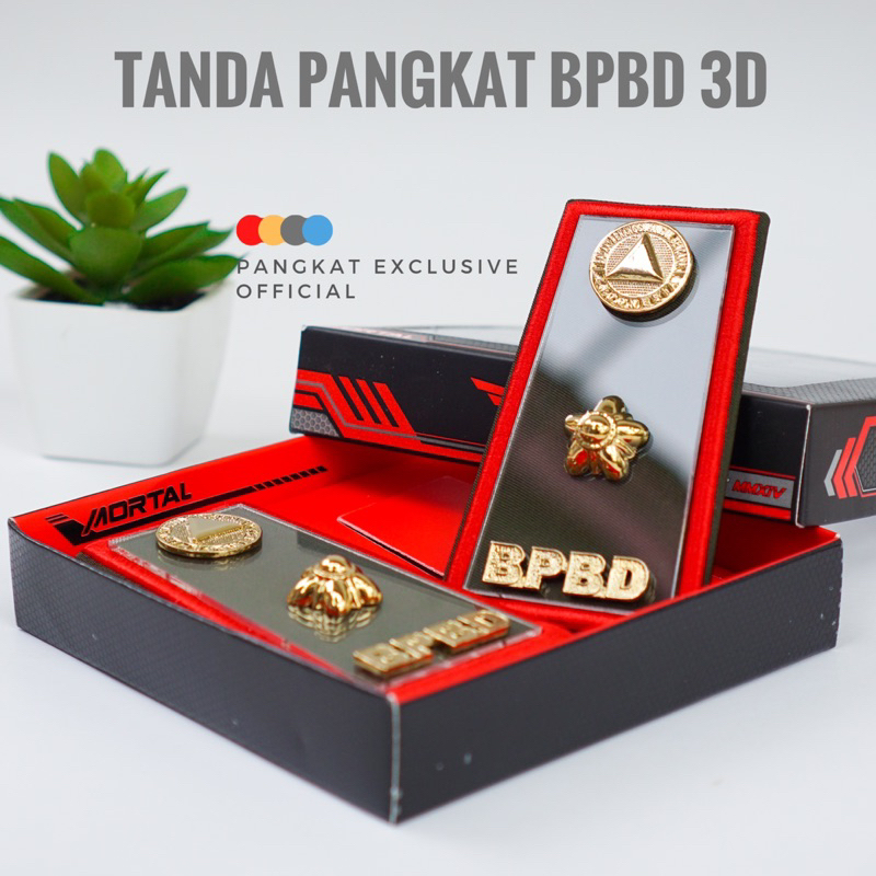 Jual PANGKAT BPBD 3D EXCLUSIVE | Shopee Indonesia