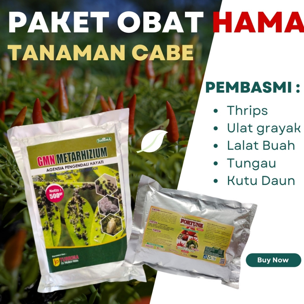 Jual Obat Cabe Daun Kuning dan Keriting, Paket Obat Hama Cabai, Pupuk ...