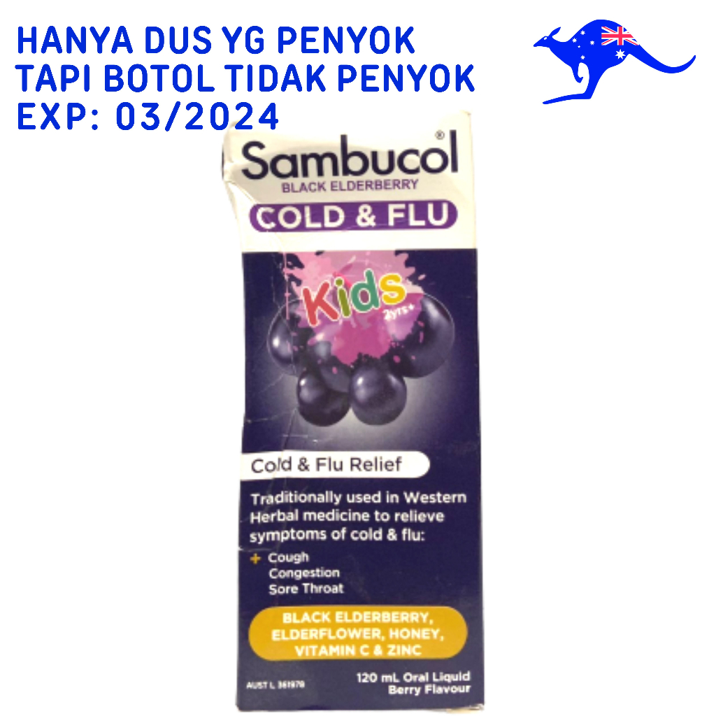 Jual Sambucol Kids Immune Defence Gummies 50 Immunity Black Elderberry ...