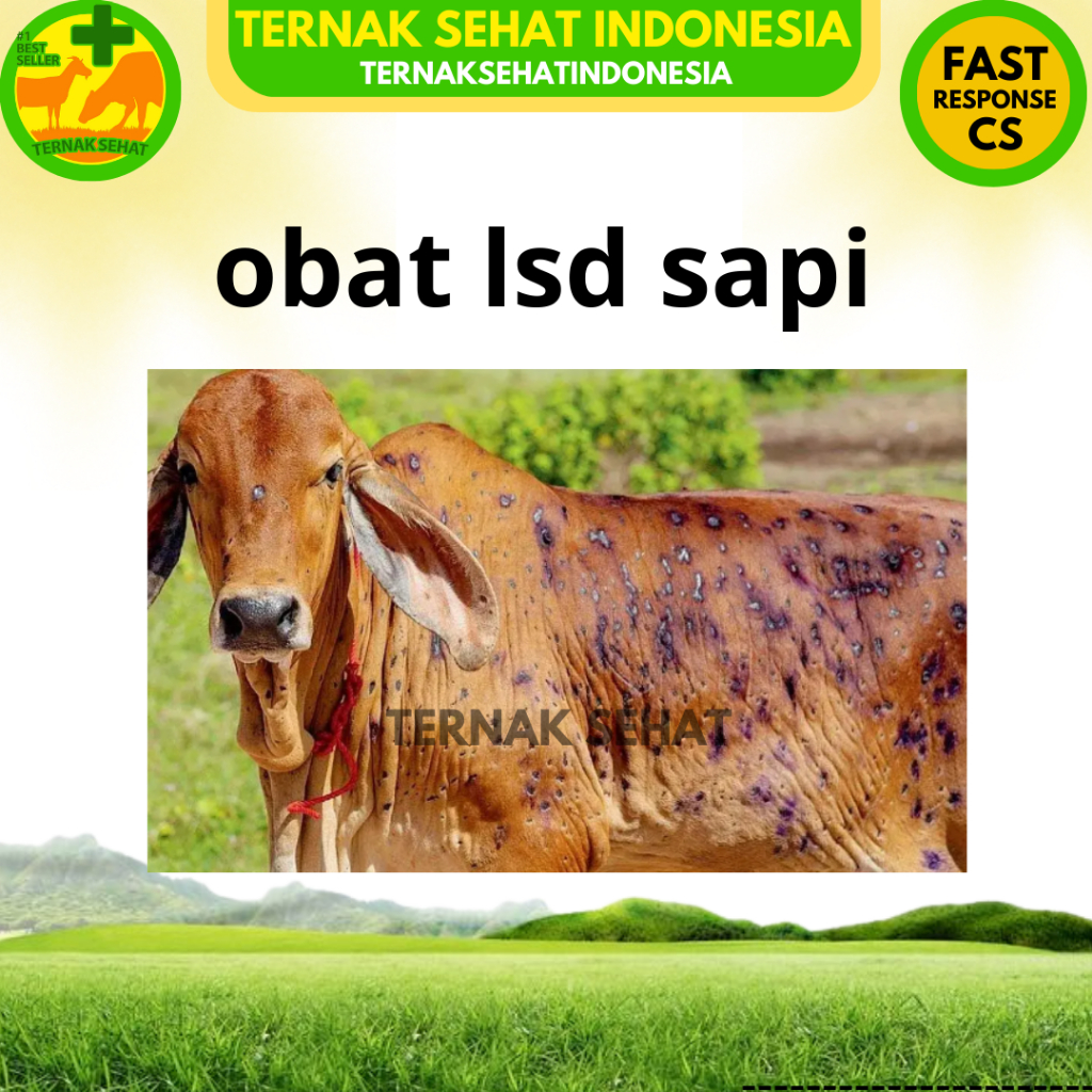Jual OBAT LSD SAPI AMPUH KOMPLIT - OBAT PENYAKIT KULIT SAPI LSD LUMPY ...