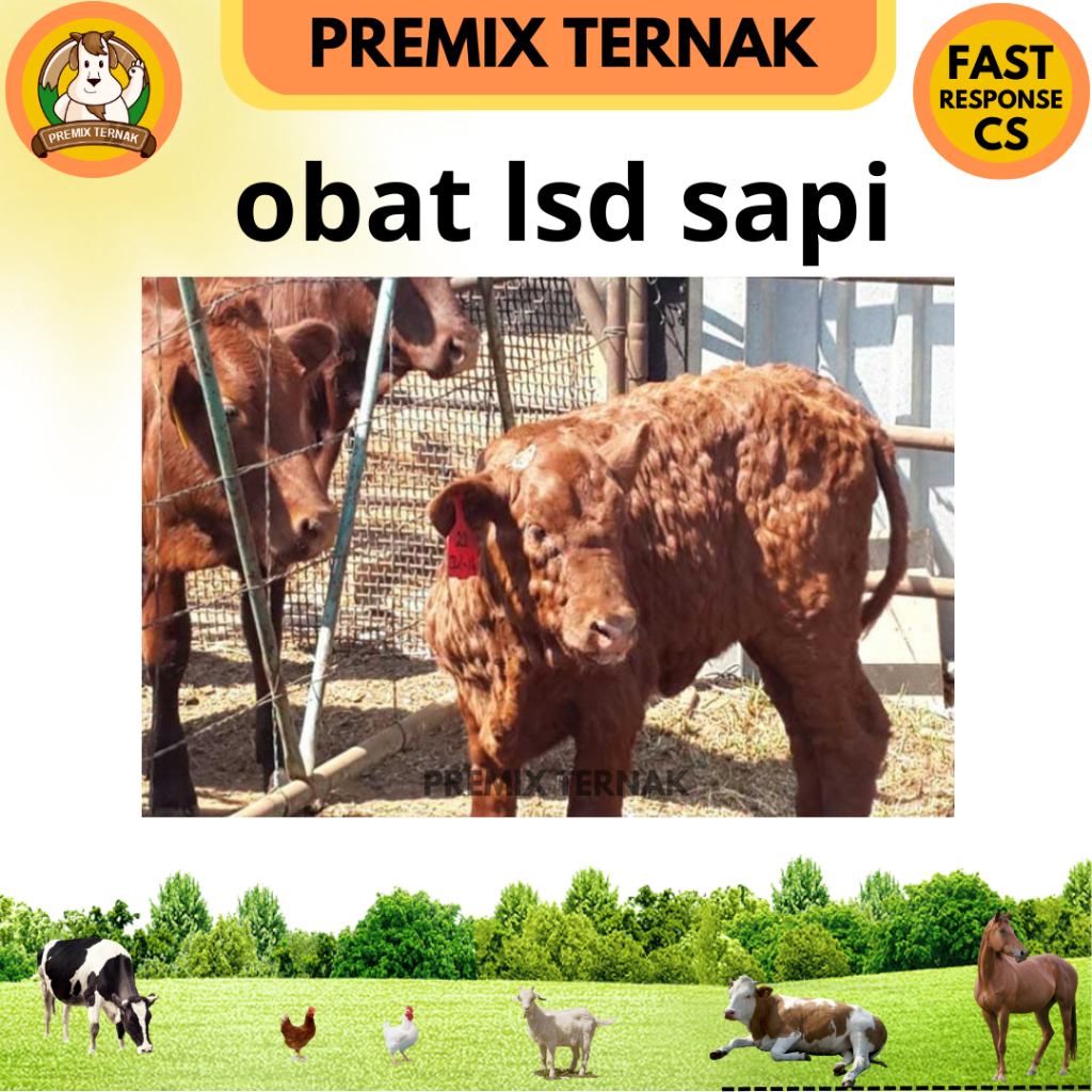 Jual OBAT LSD SAPI AMPUH KOMPLIT - OBAT PENYAKIT KULIT SAPI LSD LUMPY ...