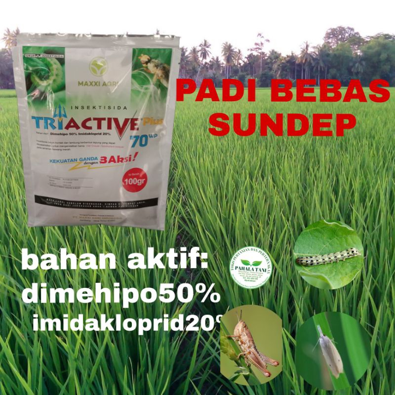 Jual TRIACTIVE plus 70WP/dimehipo/imidakloprid/insektisida sundep/hama ...