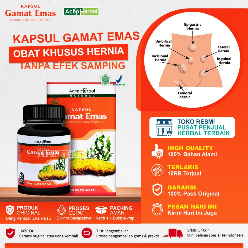 Jual Obat Hernia,Turun Berok,Peranakan Varikokel Hidrokel,Buah Zakar ...