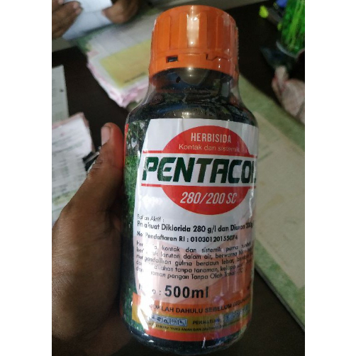 Jual PENTACOL 500 ML Herbisida Kontak & Sistemik | Shopee Indonesia