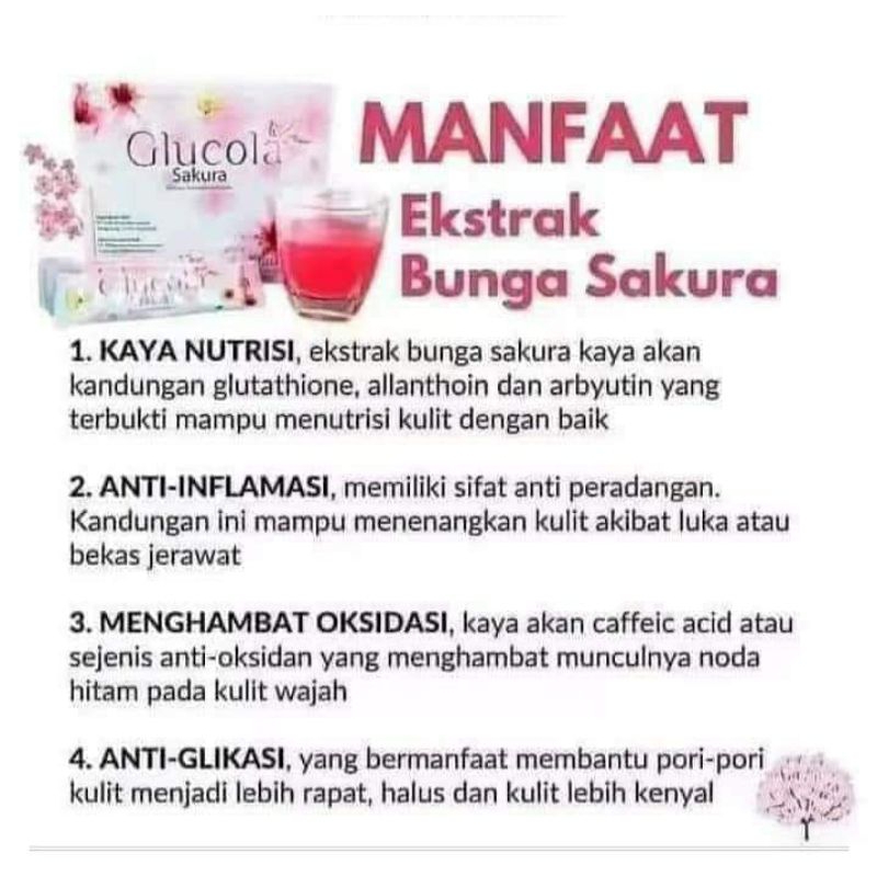 Jual Glucola Sakura MCI | Shopee Indonesia
