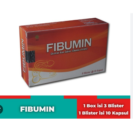 Jual FIBUMIN BOX ISI 30 KAPSUL | Shopee Indonesia