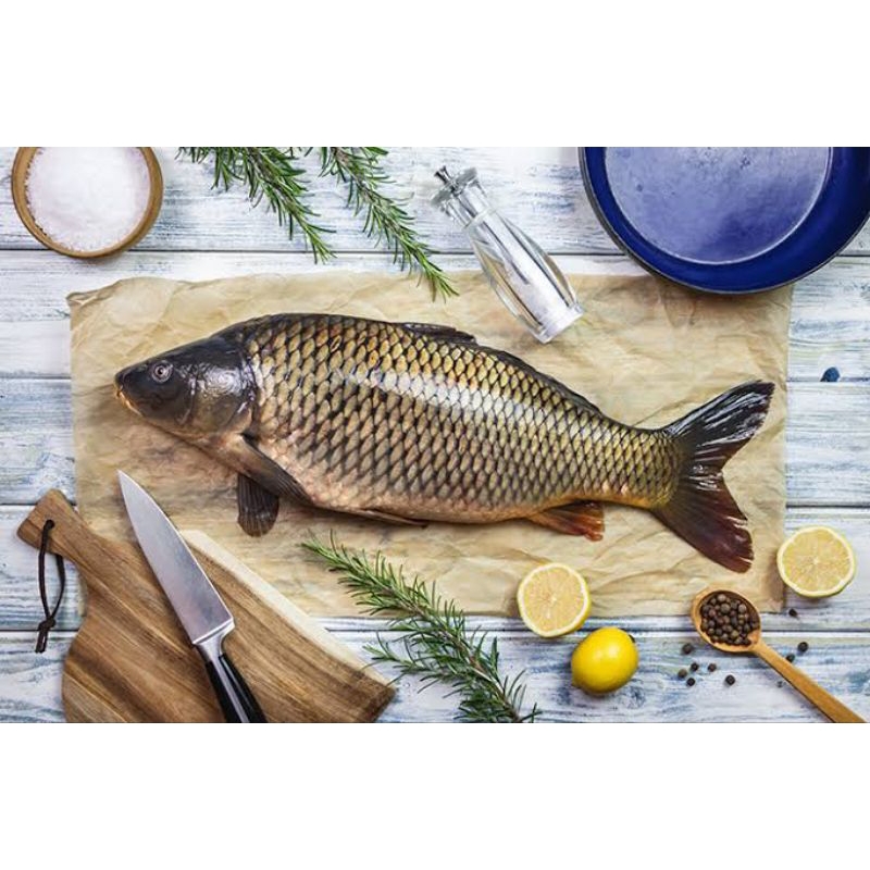 Jual Ikan Mas Segar Ikan Emas Fresh | Shopee Indonesia
