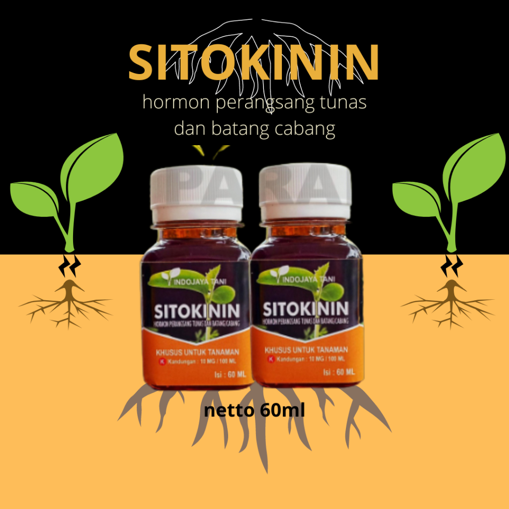 Jual hormon zpt Pupuk Tanaman Sitokinin Murni Hormon Perangsang Batang ...
