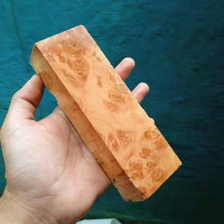 Jual Kayu Bayur Terlengkap & Harga Terbaru Juli 2024 | Shopee Indonesia