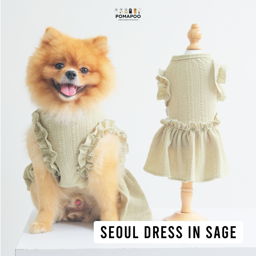 Jual POMAPOO - Baju Kucing dan Baju Anjing Seoul Dress | Shopee Indonesia