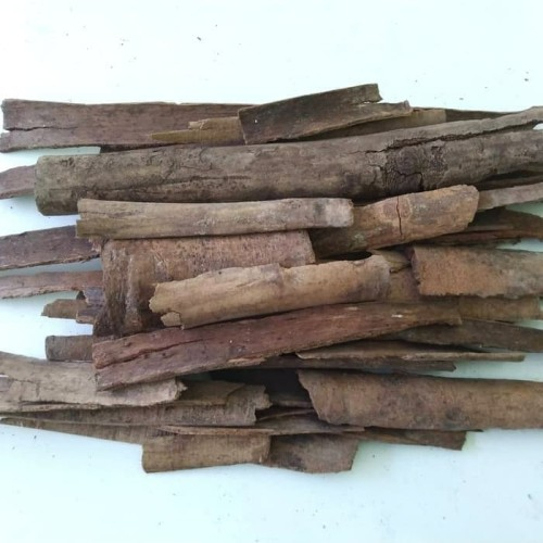 Jual Rempah Kayu Masohi/Masoyi/Mesoyi | Shopee Indonesia