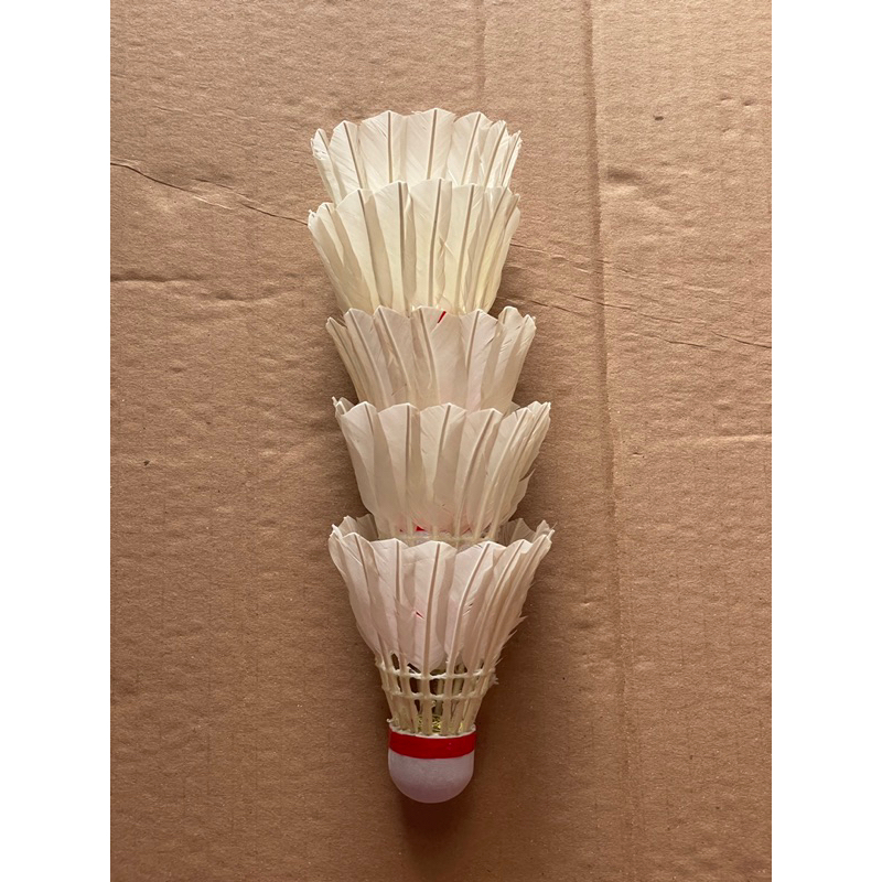 Jual Kok shuttlecock murah khusus anak balita atau TK | Shopee Indonesia