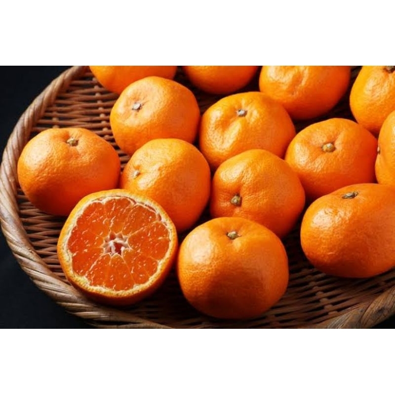 Jual Jeruk segar (ka susan) | Shopee Indonesia