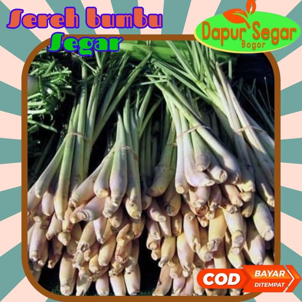 Jual sereh 250gr serai sereh segar bumbu masak | Shopee Indonesia