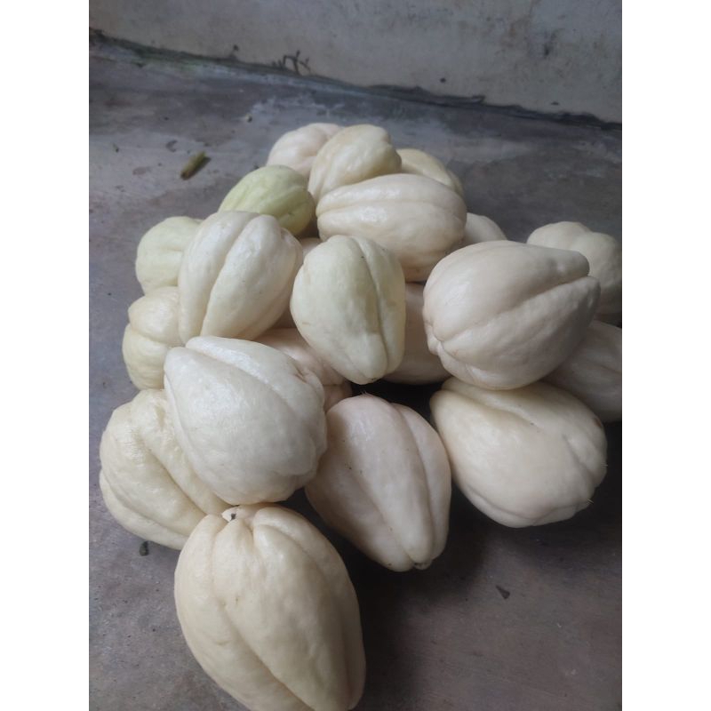 Jual Gundes/Jipang/Labu Siam Putih Buat Sayur & Obat Tradisional 1kg ...