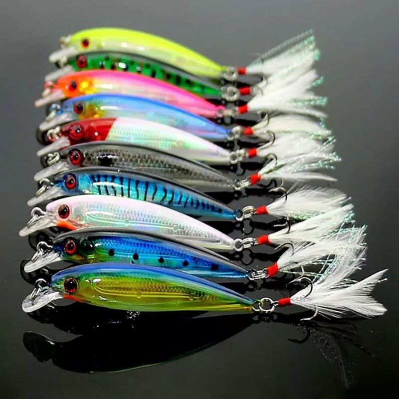 Jual Minnow Sinking 8g | Shopee Indonesia
