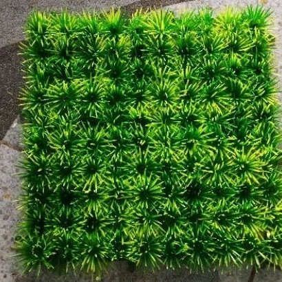 Jual Rumput Sintetis Artificial Dekorasi Hiasan Rumah Rumput Gajah ...