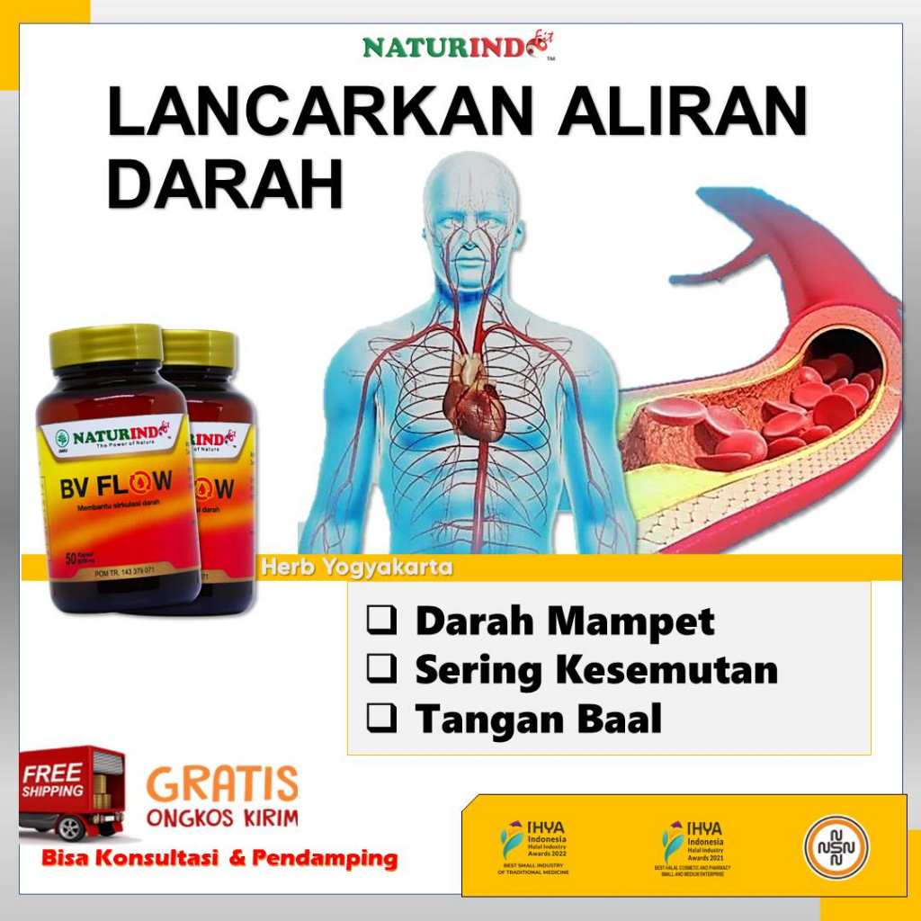 Jual Naturindo Bv Flow Lancarkan Aliran Darah Kesemutan Tangan Baal ...