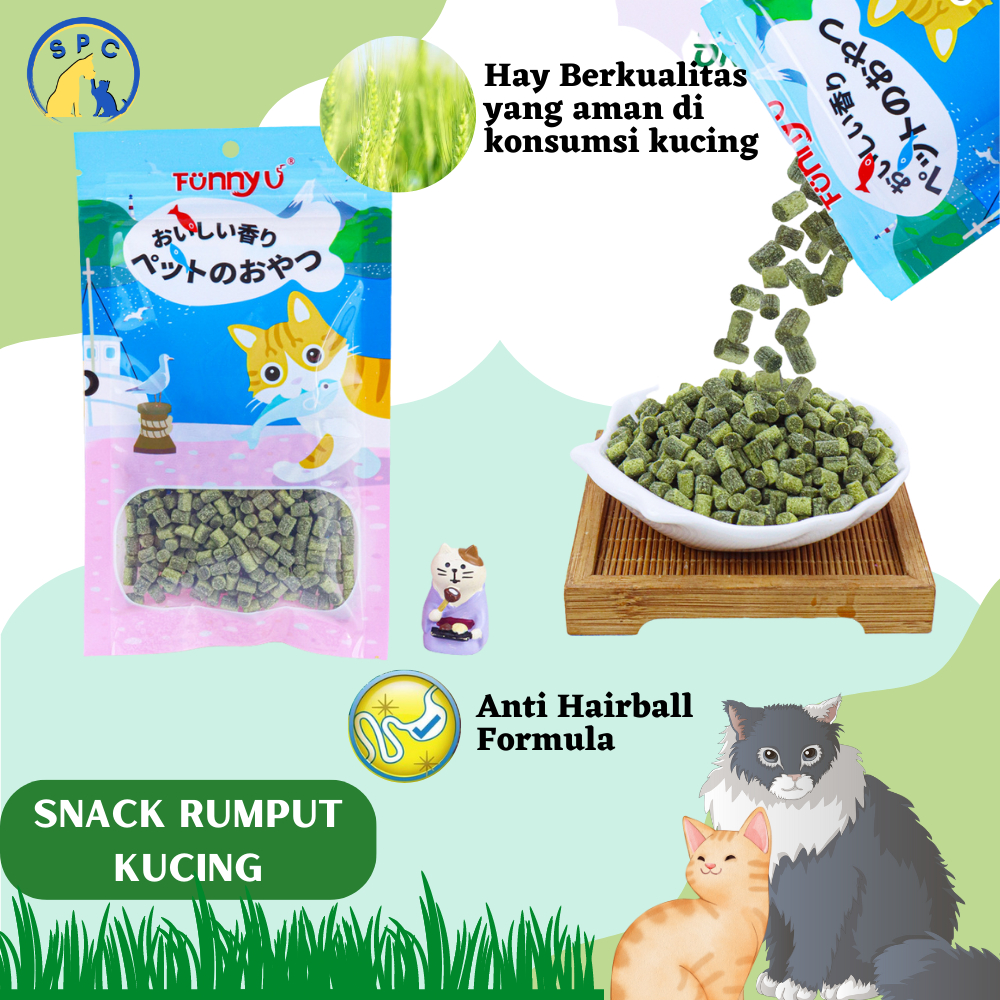Jual Snack Rumput Kucing Hay Kucing Anti Hairball 100 Gram Premium ...