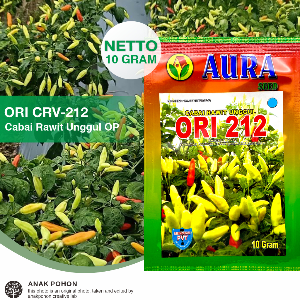 Jual (1 PACK) Benih Cabai ORI 212 Cabe Rawit Unggul CRV-212 OP Produksi Tinggi - AURA SEED - 10 ...