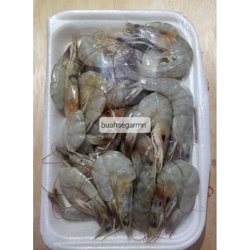Jual Udang Fresh Bukan Frozen 250gr | Shopee Indonesia