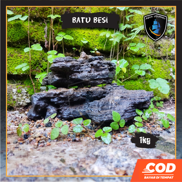 Jual Batu Besi - Batu Hias Aquascape Tebing Bertingkat Paludarium ...