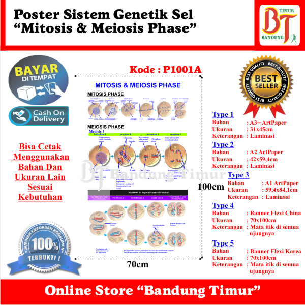 Jual POSTER SISTEM GENETIK SEL MEIOSIS DAN MITOSIS PHASE | Shopee Indonesia