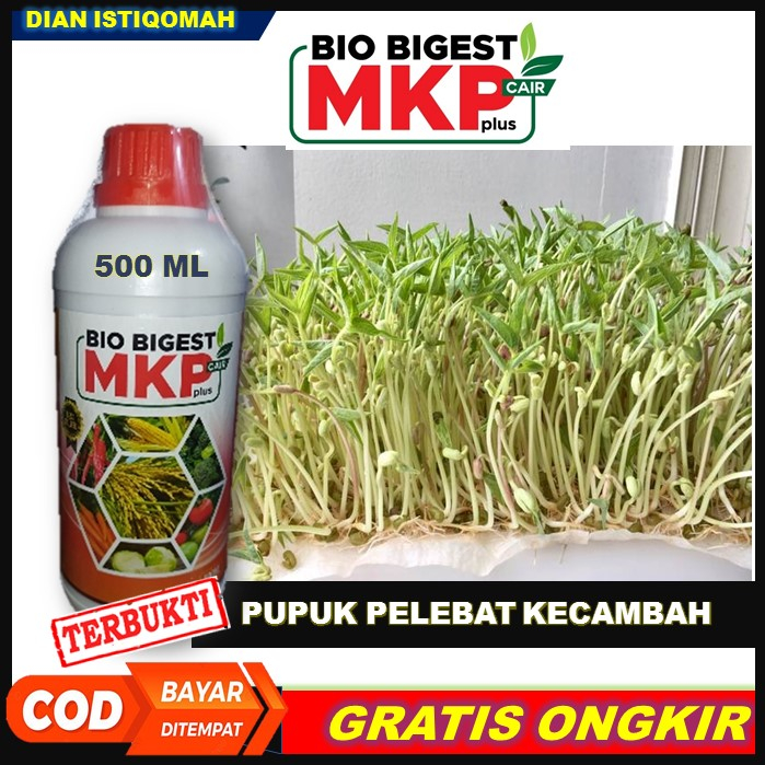 Jual COD DI RUMAH BIO BIGEST 500ml MKP Cair Plus Pupuk Melebatkan Tanaman Kecambah Dengan ...