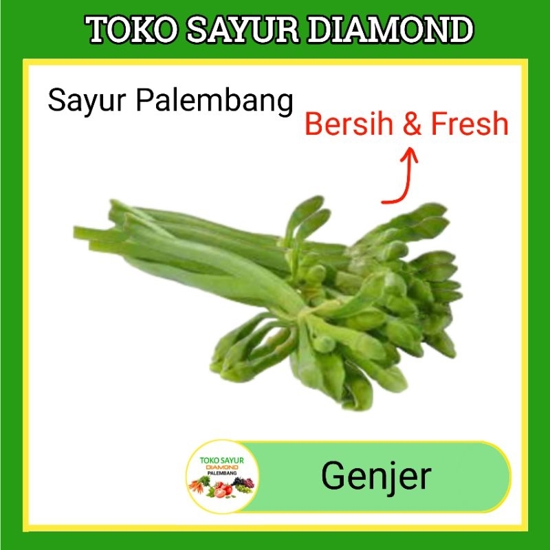 Jual Sayur Genjer - Toko Sayur Sayuran Mayur Online Segar Palembang ...