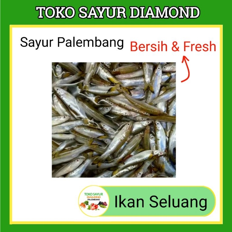 Jual Ikan Seluang 250 Gram Fresh - Toko Sayur Segar Diamond Palembang ...