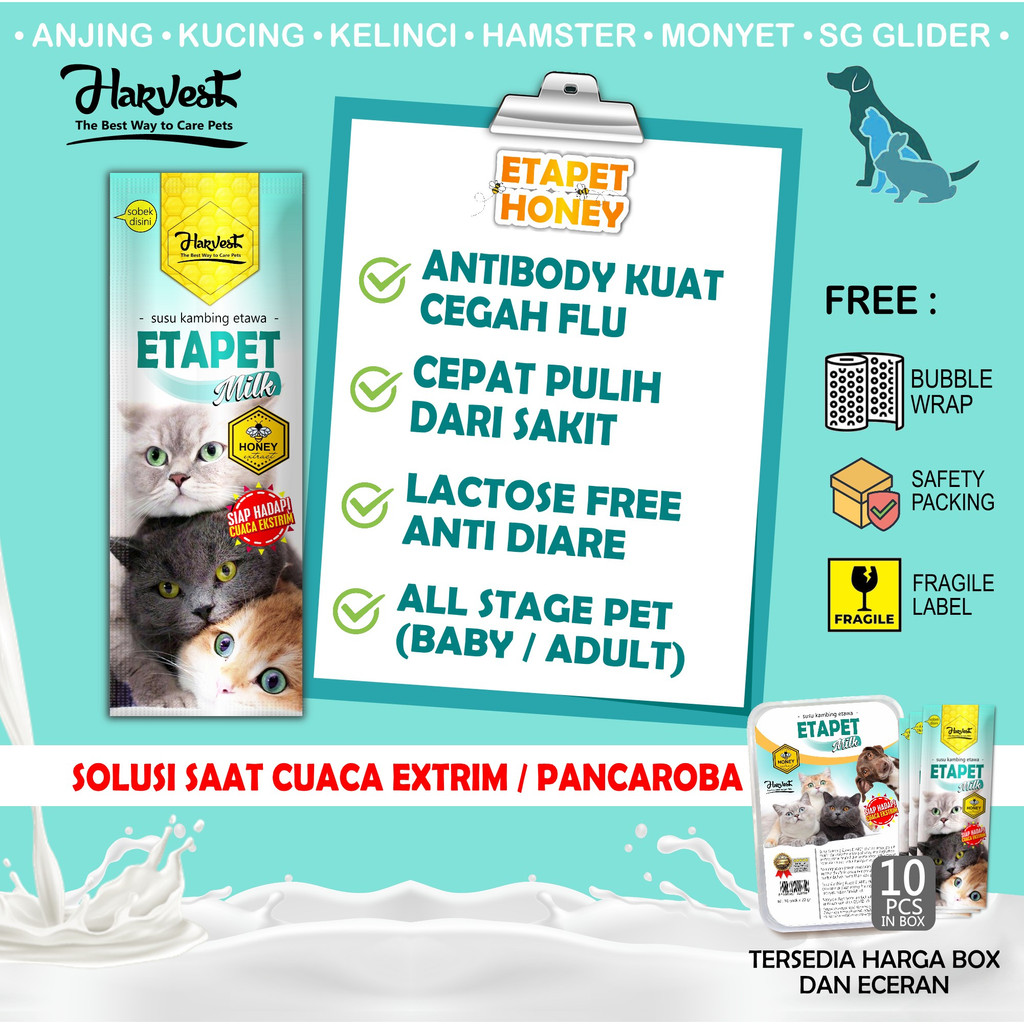 Jual obat flu kucing anjing bayi kitten dewasa lesu hewan peliharaan ...