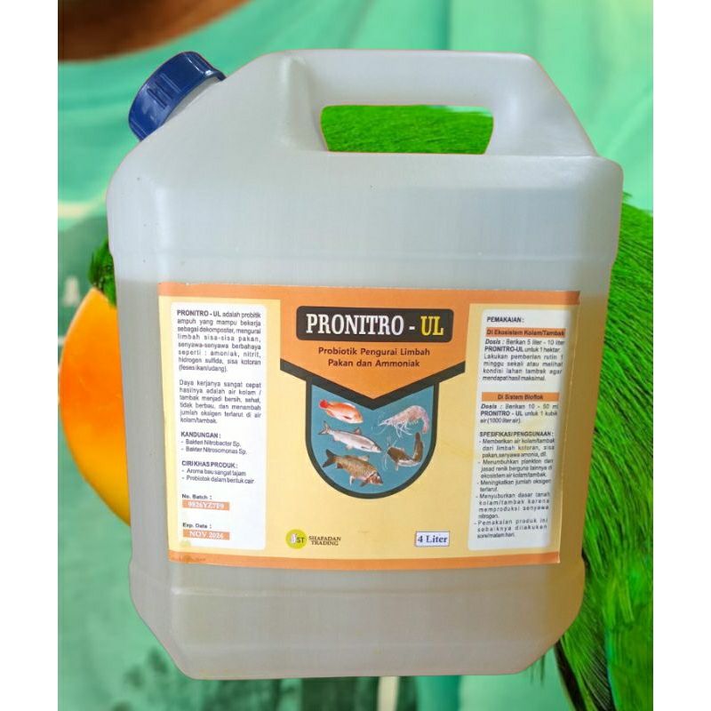 Jual Probiotik Ikan dan Udang Budidaya Nitrobacter Nitrosomonas ...