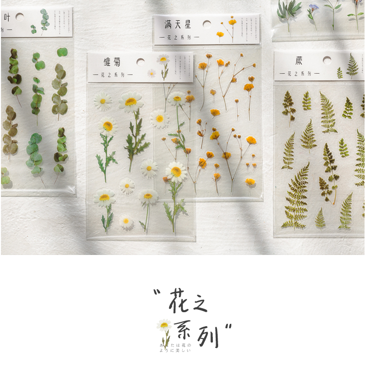 Jual Sticker bunga aesthetic | Shopee Indonesia