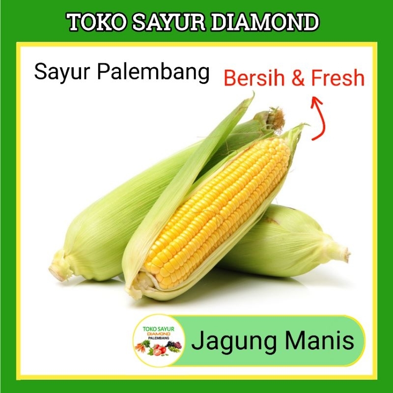 Jual Jagung Manis - Toko Sayur Sayuran Mayur Segar Palembang | Shopee ...