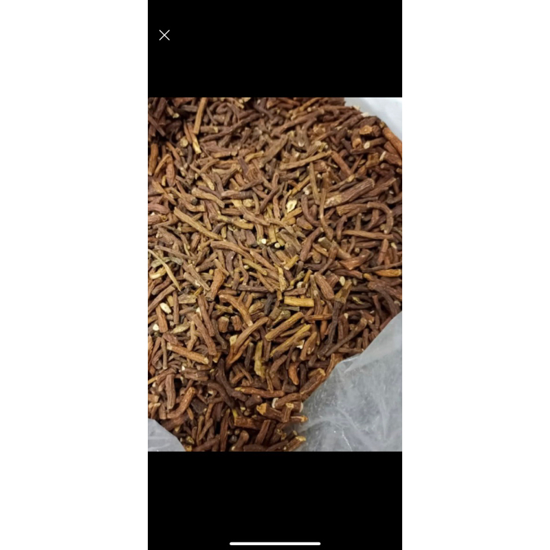 Jual akar dandelion 1 kg | Shopee Indonesia