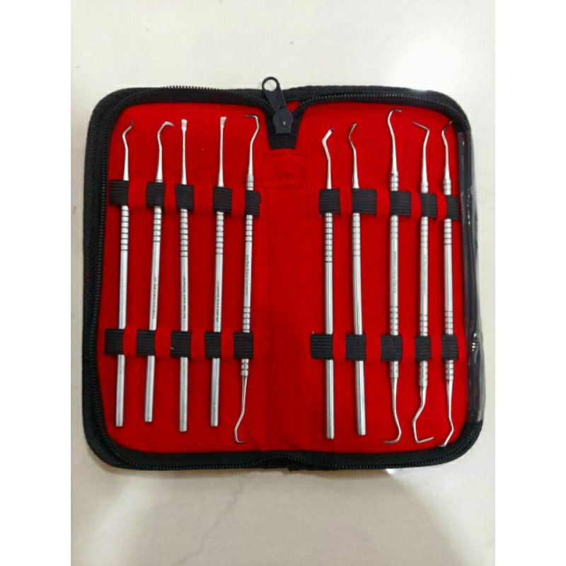 Jual Dental periodontal instrument Scaler Manual isi 10 senshan AKL ...