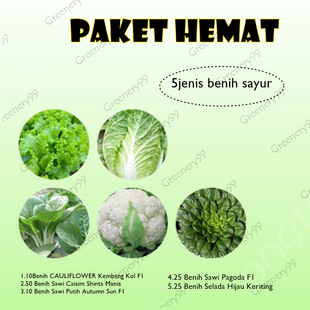 Jual paket 5jenis beneh bibit sayur sayuran sawi pagoda sawi putih ...