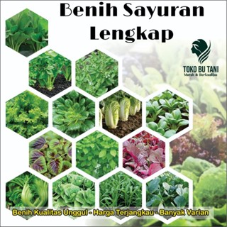 Jual Bibit Sayuran Benih Sayur Paket Lengkap Tanaman Hidroponik ...