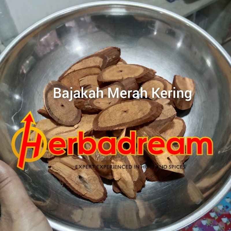 Jual 250 GRAM BAJAKAH MERAH BAJAKAH MERAH SPATHOLOBUS LITTORALIS BAJAKA ...