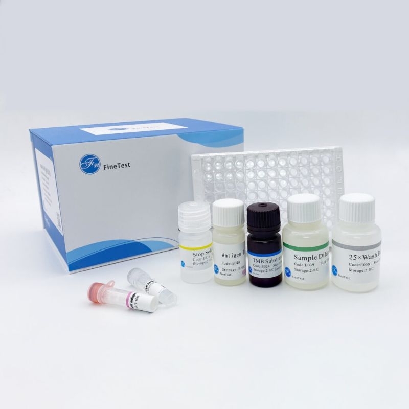 Jual COR(Cortisol) ELISA Kit | Shopee Indonesia